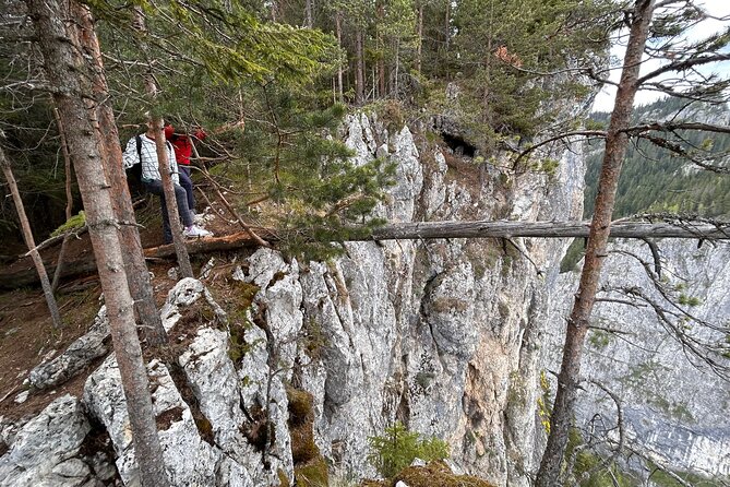 Adventure Day Trip From Iasi | Hiking in the Carpathian Mountains - Transportation and Logistics for the Tour