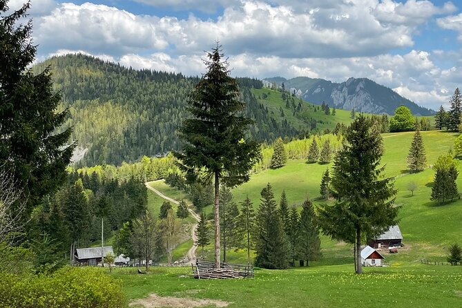 Adventure Day Trip From Iasi | Hiking in the Carpathian Mountains - Frequently Asked Questions
