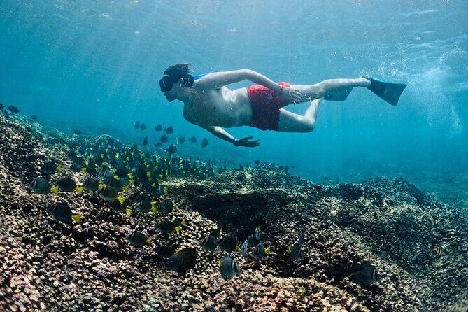 Adventure DE Snorkeling at Dawn - Final Thoughts: The Value of a Morning in Huatulco