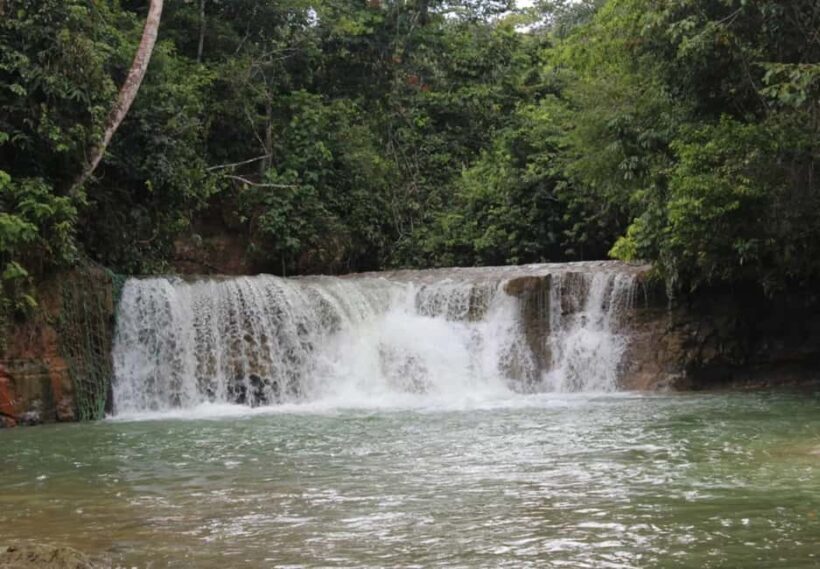 Adventure from Miches: Los Haitises, Caño Hondo, and Yanigua - Key Points