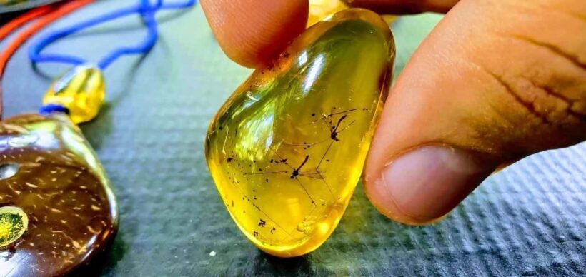 Adventure from Miches: Los Haitises, Caño Hondo, and Yanigua - The Heart of the Adventure: Whats Included?