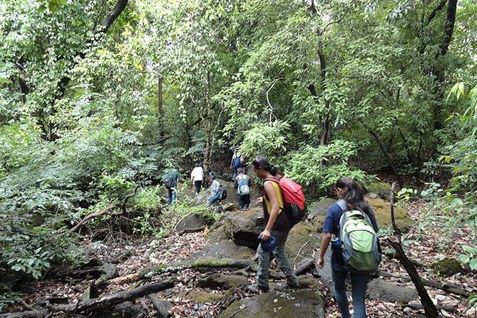 Adventure Hunting - Authentic Natural Encounters and Fun
