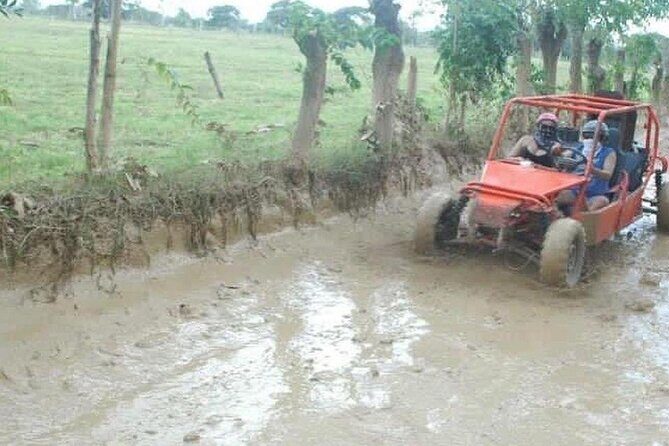 Adventure in Buggies + cenote Punta Cana - Price and Value: Is It Worth It?