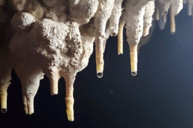 Adventure in Cave and the Guayaney Spring - A Step-by-Step Look at the Itinerary