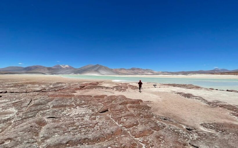 Adventure in Piedras Rojas: From Plains to Mountains - Final Thoughts