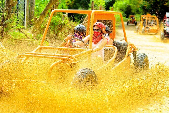 Adventure in Punta Cana Buggy or ATV Dunes & Unforgettable Safari - What the Tour Offers: An Overview