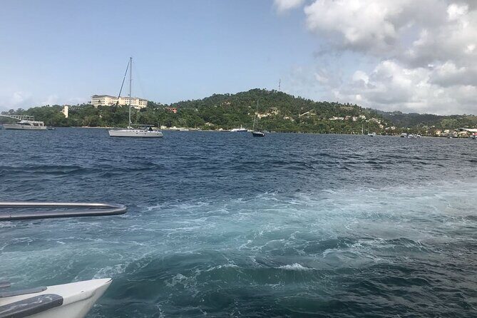 Adventure in the bay of samana and waterfall El limon from punta cana - FAQ