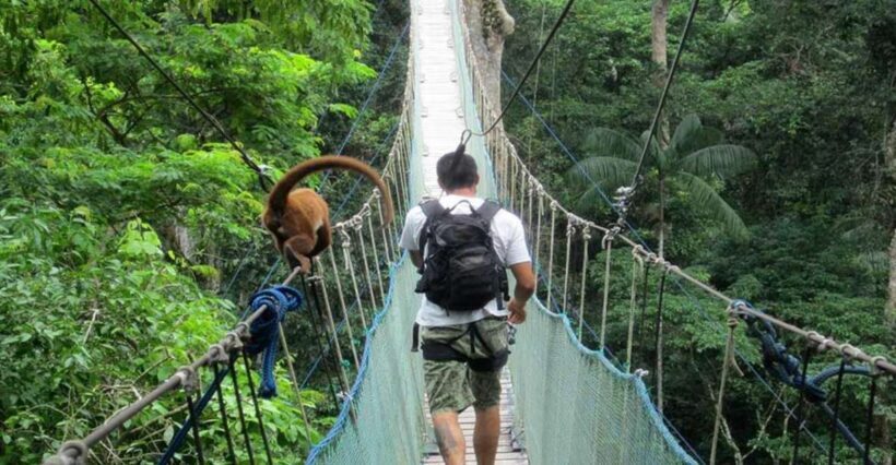 Adventure in the Jungle | Zipline, Canopy, Kayak| - What’s Included and What’s Not