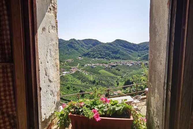 Adventure in the Prosecco Hills by Yellowboot - Transportation Details