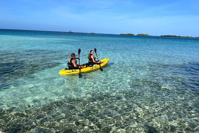 Adventure Kayak & Snorkeling at Reef Island Aruba - An Overview of the Experience: What You Can Expect