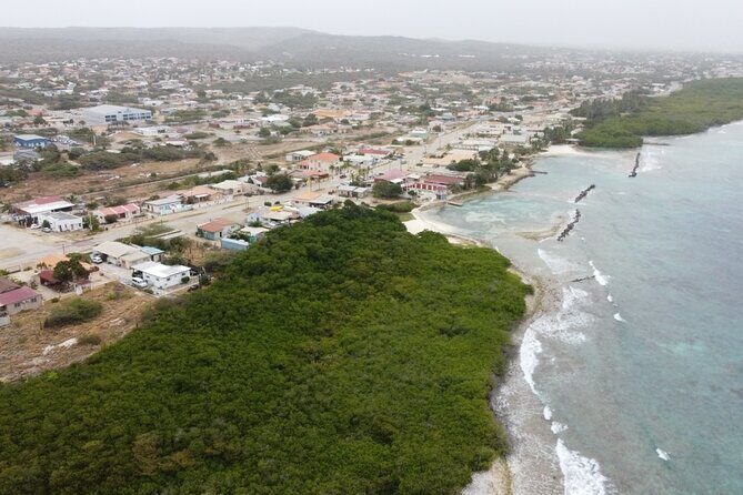 Adventure Kayak & Snorkeling at Reef Island Aruba - Who Should Consider This Tour?