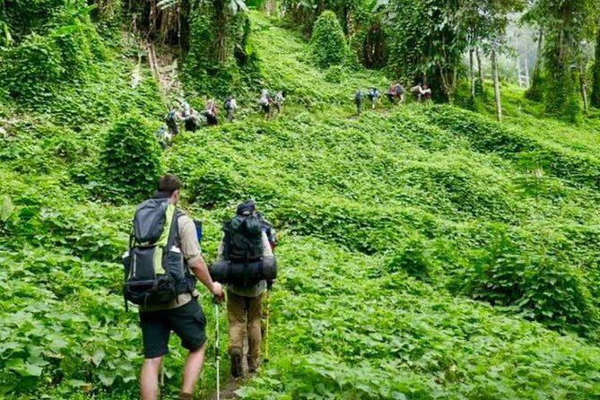 ADVENTURE KOKODA 10-Day Premium Kokoda Campaign Trek Australian Led - Who Should Consider This Tour?
