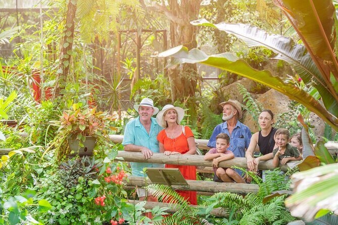 Adventure on a Budget Visit Kuranda or Palm Cove from Pt Douglas - Who Will Love This Tour?