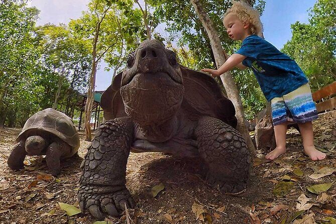 Adventure Power Boat Tour Antigua and Private Laviscount Island - What the Experience Feels Like