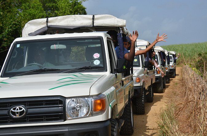 Adventure Safari - Authentic Experiences and Reviewer Insights