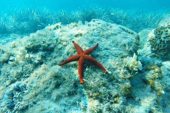 Adventure Sailing 4 Night Dubrovnik Cruise on the Huck Finn Cat - Customer Reviews and Experiences