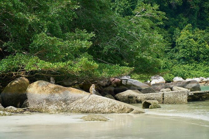 Adventure Sports & Thrilling White-water Rafting in Kampar River - An In-Depth Look at the Kampar River White-water Adventure