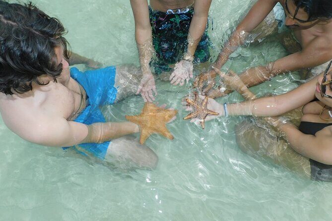 Adventure Stingray City, Snorkeling the Reef and Star Fish Point - An In-Depth Look at the Tour Experience
