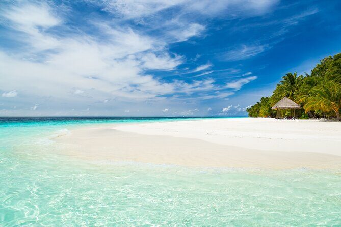 Adventure through the Mayan Jungle Kaan Luum Lagoon & 2 Cenotes - Who Would Love This Tour?