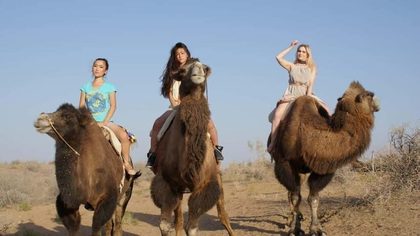 Adventure to Desert Kyzyl Kum and Yurt Camp - The Itinerary Breakdown