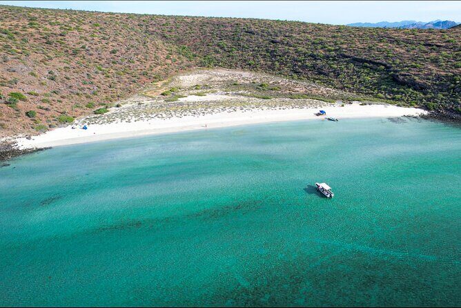 Adventure to Espiritu Santo Island: Snorkel with Sea Lions and Beach - Practical Details and Tips
