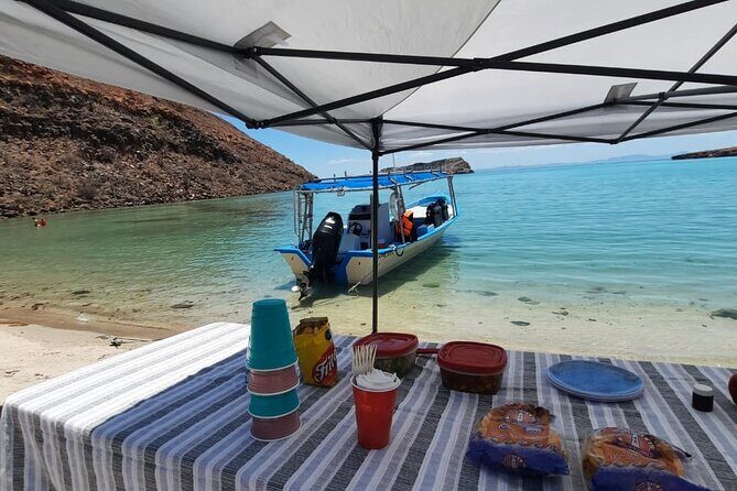 Adventure to Espiritu Santo Island: Snorkel with Sea Lions and Beach - Final Thoughts