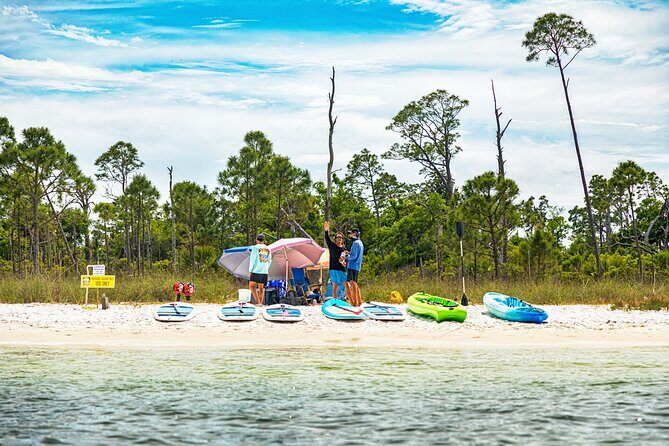 Adventure Tour to Shell Island on the Privateer Catamaran - What Guests Say: Authentic Perspectives