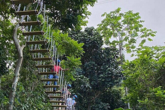 Adventure Trail Tour in the foothills of the National Rainforest - Who Is This Tour Best For?