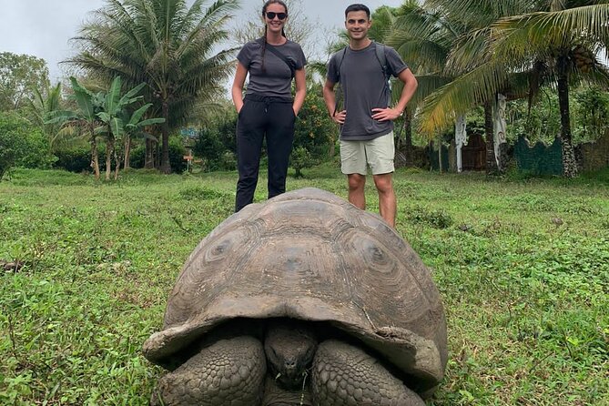 Adventure With Turtles, Lava Tunnels and Los Gemelos Craters - The Tour Experience