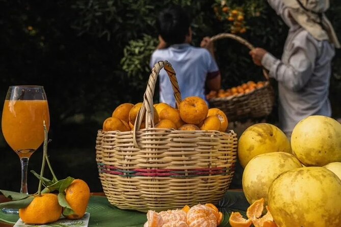 Adventure With Turtles, Lava Tunnels and Los Gemelos Craters - Guest Reviews and Feedback