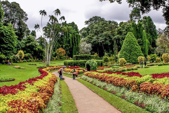 Adventures of the Last Kingdom of Sri Lanka - The Value and Practicalities