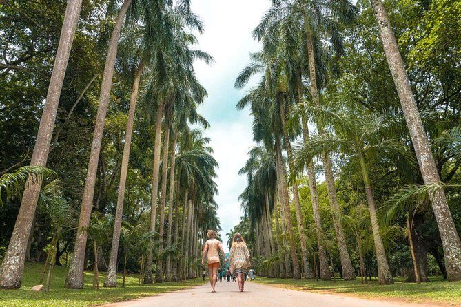 Adventures of the Last Kingdom of Sri Lanka - Who Is This Tour Best For?