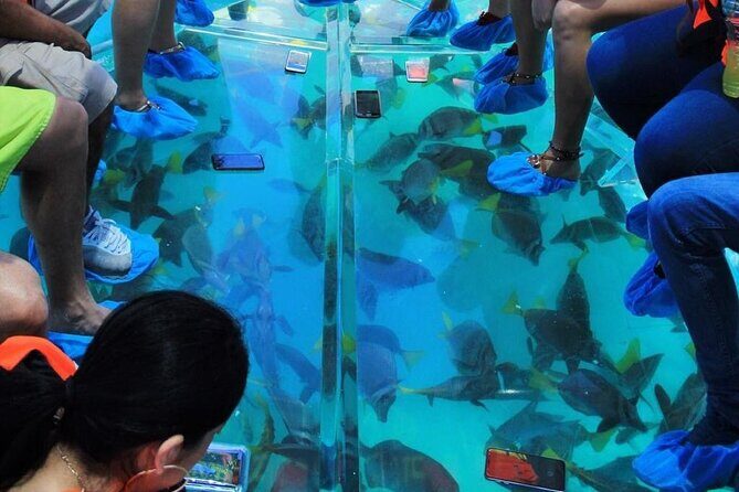 Adventures of the Lost Atlantis Bimini Road - Who Will Love This Tour?