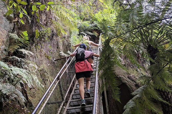 Adventurous Blue Mountains hike up the iconic Three Sisters - The Sum Up: Is It Worth It?