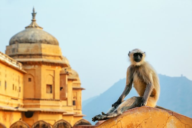 Adventurous & Classical India Curated Journey: South & Golden Triangle - FAQ