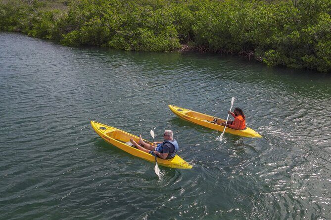Adventurous Clear Kayak And Snorkeling Tour At Mangel Halto - Who Will Love This Tour?