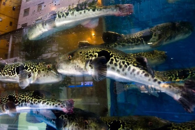 Adventurous Japanese Food Tour in Tokyo - Meeting Point and Tour Logistics