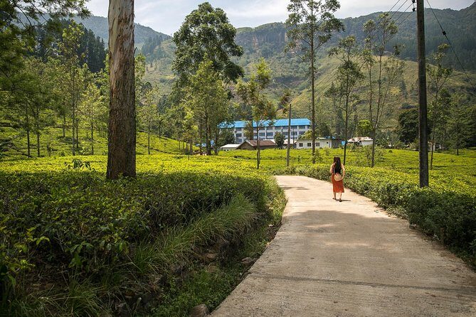 Adventurous Spirit (18 Days) - Who Is This Tour Best For?