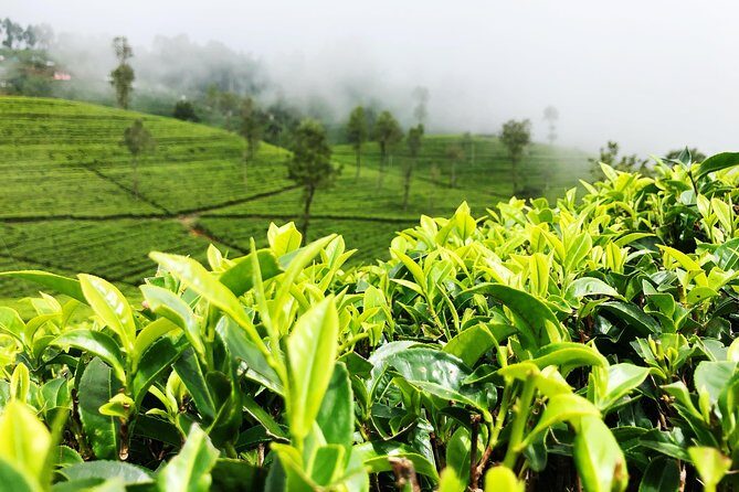 Adventurous Spirit (18 Days) - Final Thoughts