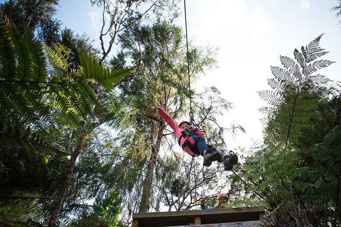 Adventurous Zipline Tour in Coromandel - Authenticity and Conservation