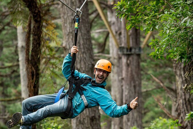 Adventurous Zipline Tour in Coromandel - The Experience’s High Points
