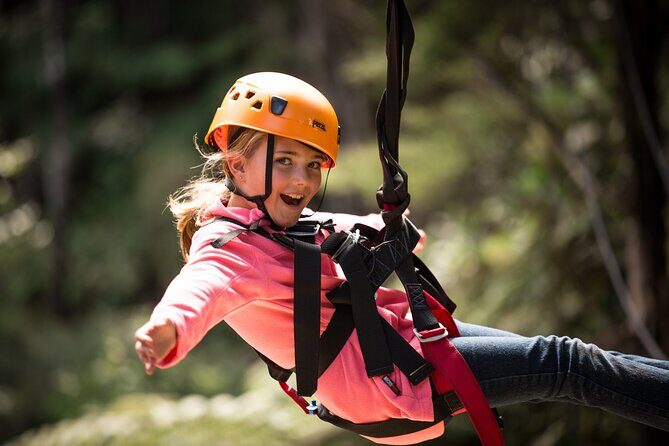 Adventurous Zipline Tour in Coromandel - What to Consider