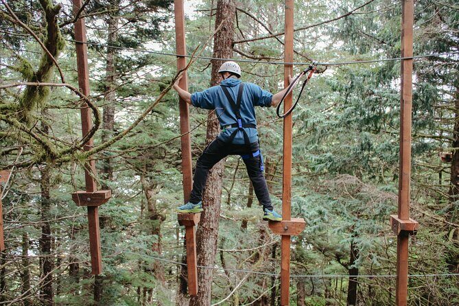 Aerial Adventure Ropes Course in Sitka - The Sum Up: Who Is This Adventure For?