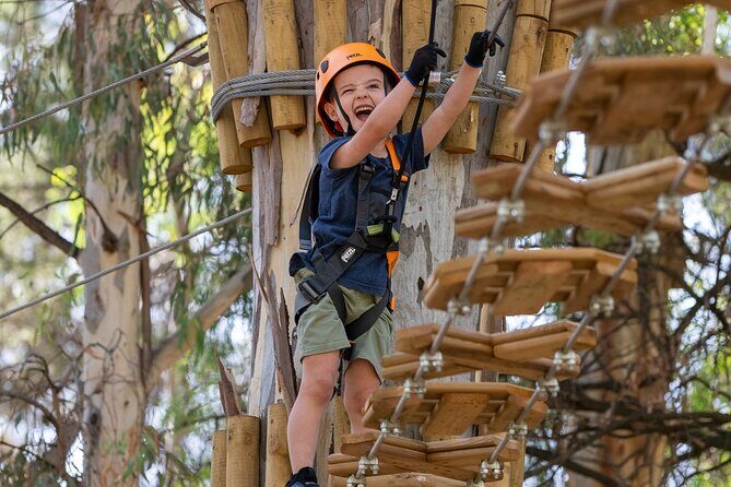 Aerial Fun & Ziplining for Our Littlest Adventurers in Salisbury - Key Points