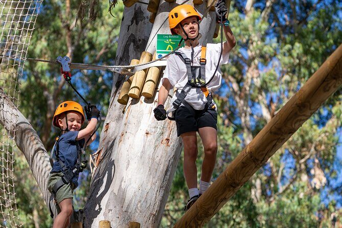 Aerial Fun & Ziplining for Our Littlest Adventurers in Salisbury - An Introduction to Salisbury’s TreeClimb Adventure