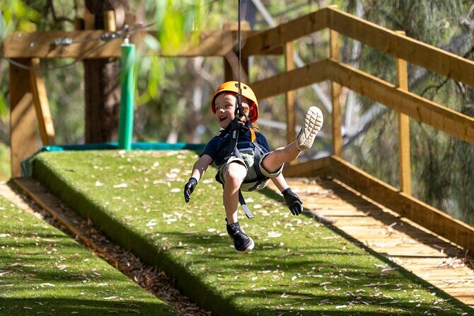 Aerial Fun & Ziplining for Our Littlest Adventurers in Salisbury - The Value of the Experience