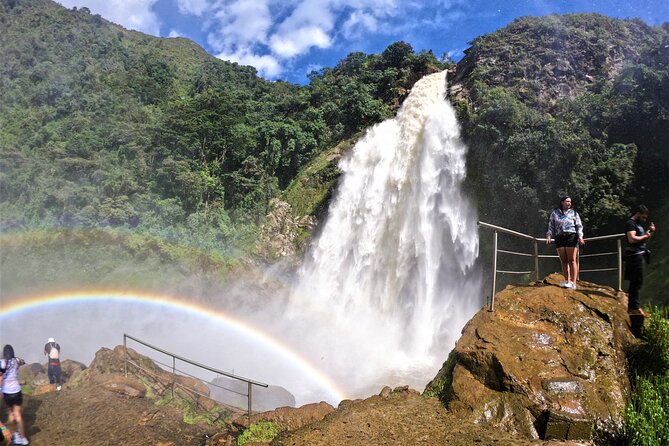 Aerial Hammocks, Zip and Waterfall Trek on Medellin Private Tour - Inclusions and Pricing