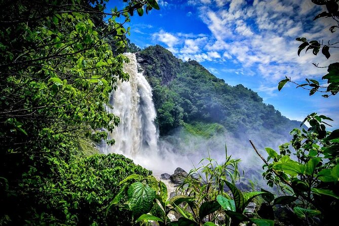 Aerial Hammocks, Zip and Waterfall Trek on Medellin Private Tour - Taking in Natures Splendor