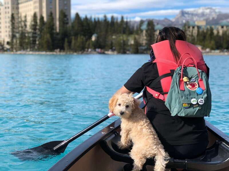 Affordable Banff, Lake Louise & Moraine Lake DayTrip Shuttle - Key Points