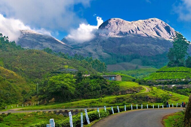 Affordable transfer from Kochi to Munnar - Why Choose This Transfer?